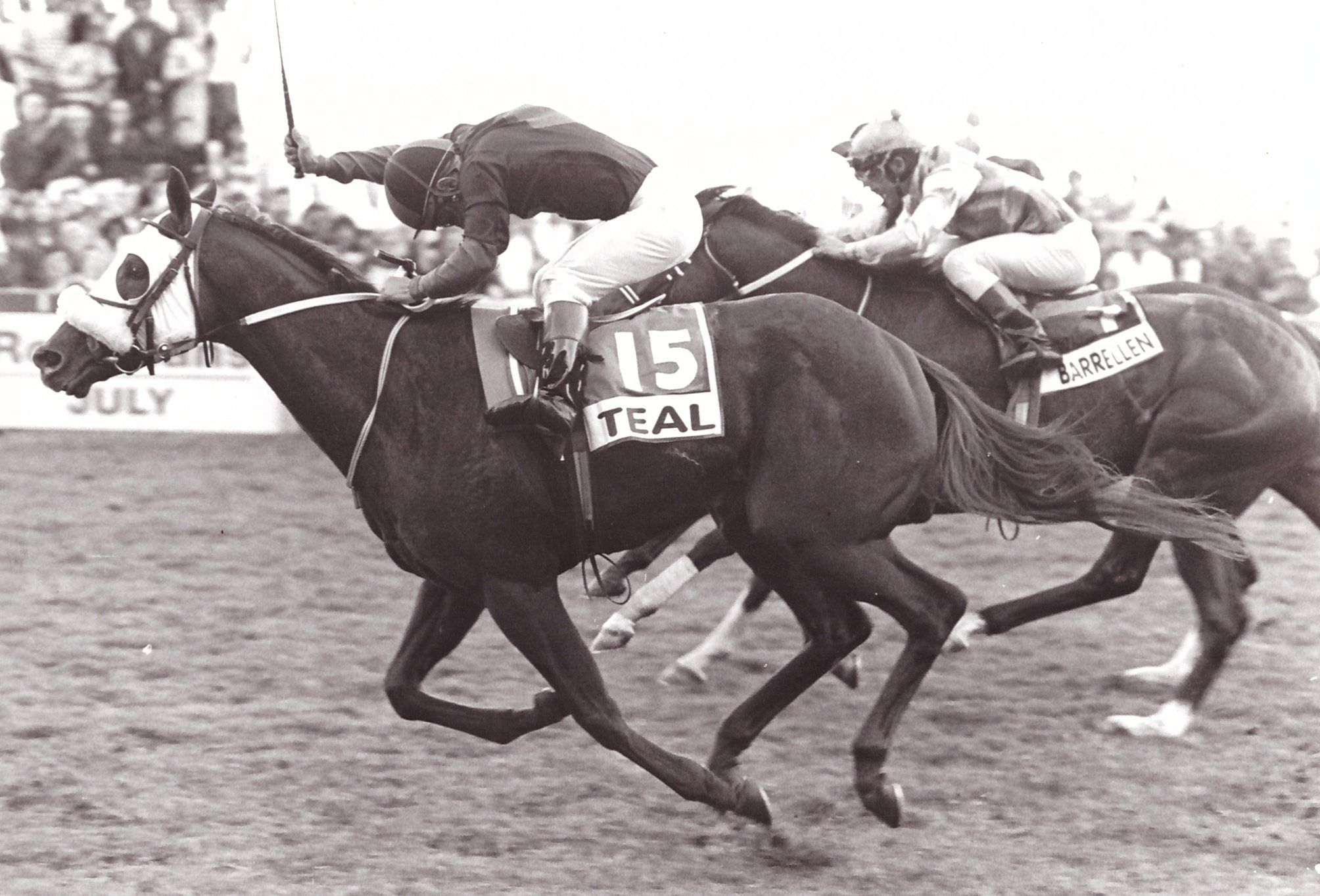 Passing Of Alan Sutherland – KZNBreeders