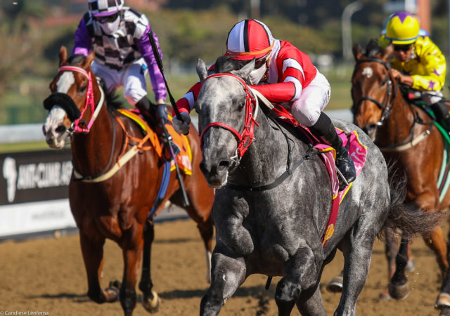 Second Winner For Willow Magic – KZNBreeders