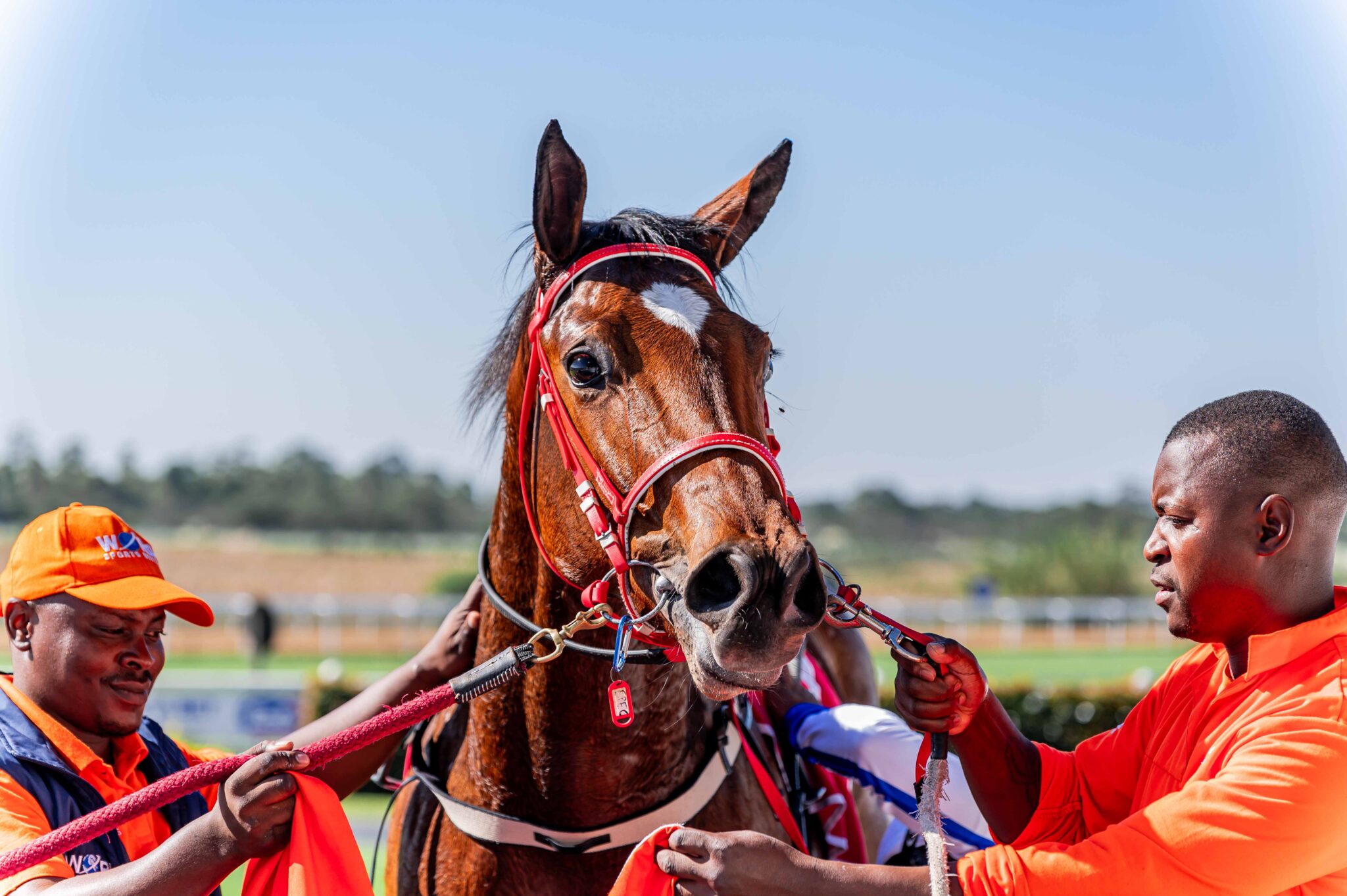 REWARDING EQUINE EXCELLENCE – KZNBreeders