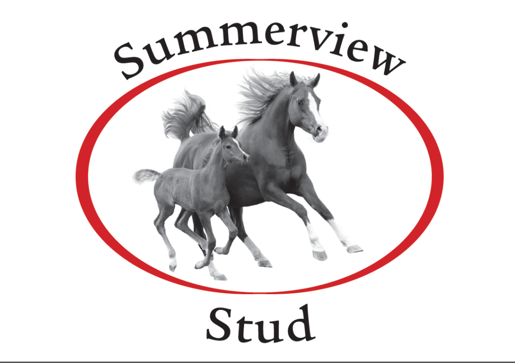 Stud Farms – KZNBreeders